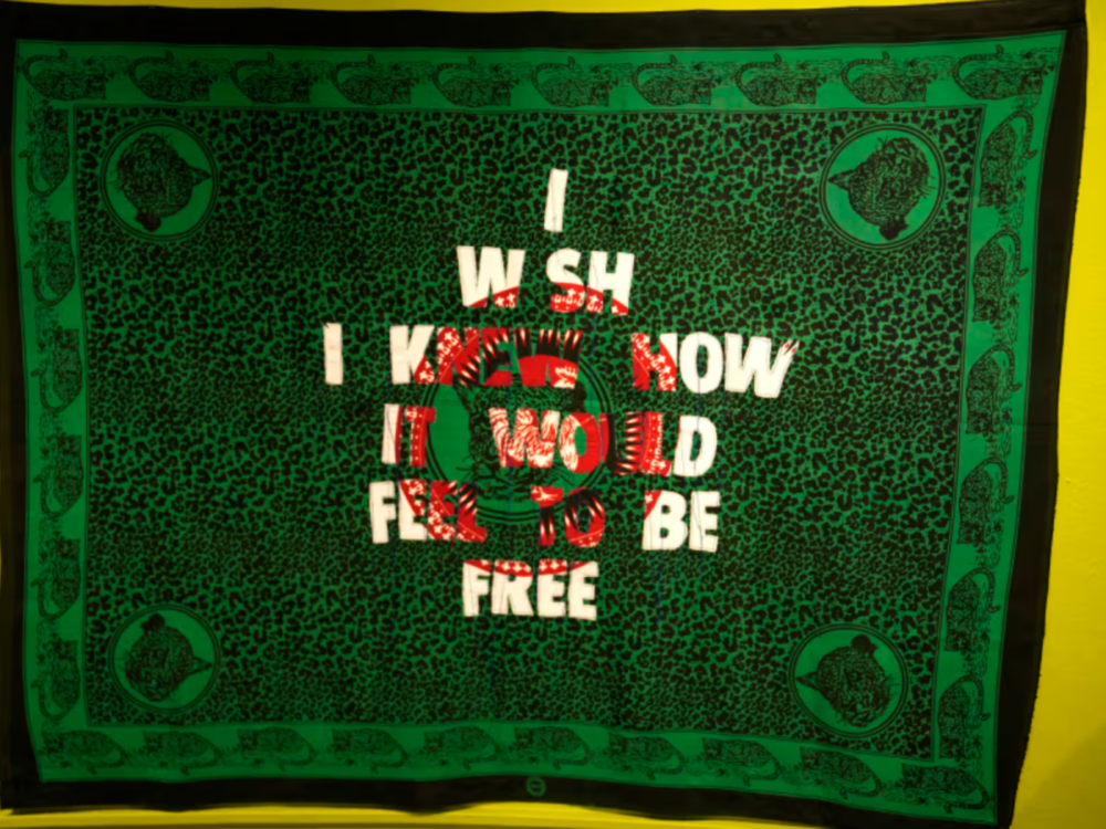 Resilience and Reflection: Celebrating 30 Years of Democracy ...